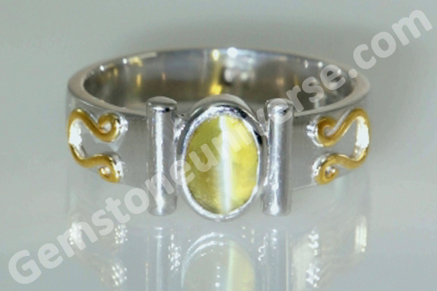 Ancient Ayurveda Meets Modern Gemology- Planetary Herbal Ash Talisman ...