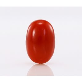 Buy red coral online| Buy Real Red Coral in Bangalore GU1103900RC