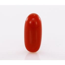Buy red coral online| Buy Real Red Coral in Bangalore GU1244000RC