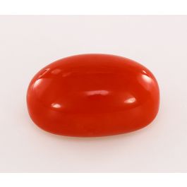 Buy red coral online| Buy Real Red Coral in Bangalore GU1448270RC