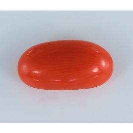 Buy red coral online| Buy Real Red Coral in Bangalore GU1714040RCC