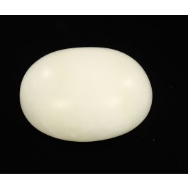 Buy white coral online| Buy Real white Coral in Bangalore GU1864530WC