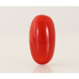 Buy red coral online| Buy Real Red Coral in Bangalore GU1995930RC