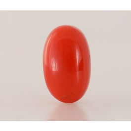 Buy red coral online| Buy Real Red Coral in Bangalore GU2003790RC