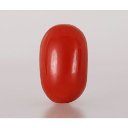 Buy red coral online| Buy Real Red Coral in Bangalore GU2005550RC