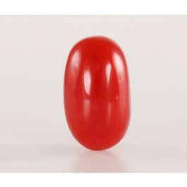 Buy red coral online| Buy Real Red Coral in Bangalore GU2015600RC