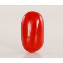 Buy red coral online| Buy Real Red Coral in Bangalore GU2015930RC