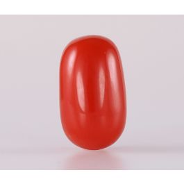 Buy red coral online| Buy Real Red Coral in Bangalore GU2169480RC