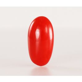 Buy red coral online| Buy Real Red Coral in Bangalore GU2253160RC