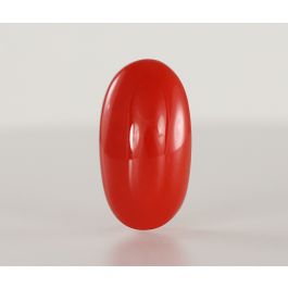 Buy red coral online| Buy Real Red Coral in Bangalore GU2254310RCB