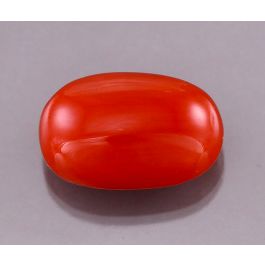 Buy red coral online| Buy Real Red Coral in Bangalore