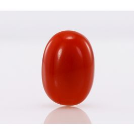 Buy red coral online| Buy Real Red Coral in Bangalore GU1104020RCB