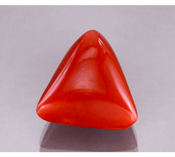 Buy red coral online| Buy Real Red Coral in Bangalore - GU0605230RC